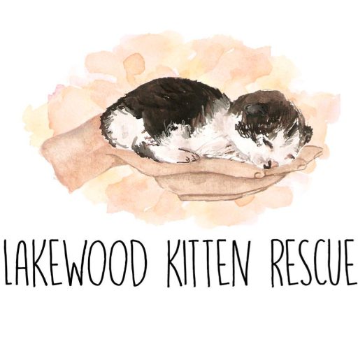 Lakewood Kitten Rescue